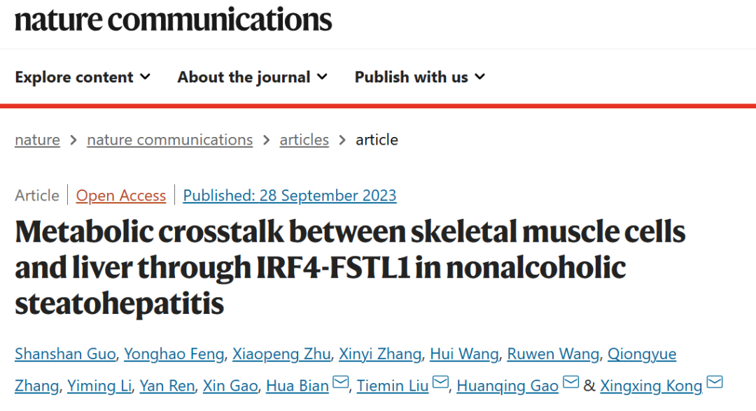 孔星星/高焕庆/刘铁民团队揭示非酒精性脂肪性肝炎中骨骼肌细胞和肝脏通过IRF4-FSTL1发生代谢对话的新机制